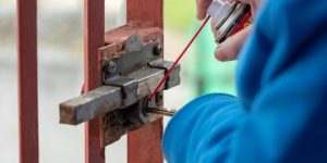 19 Expert Tips: Lock Lubricants, Lock Care & More - 2025